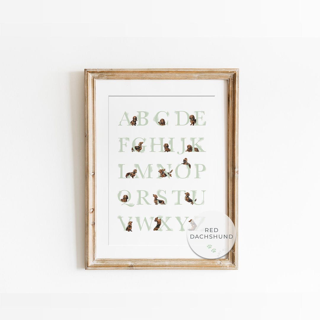 Dachshund Alphabet Poster Sage Green | Red Longhaired Wiener Dog ABC ...
