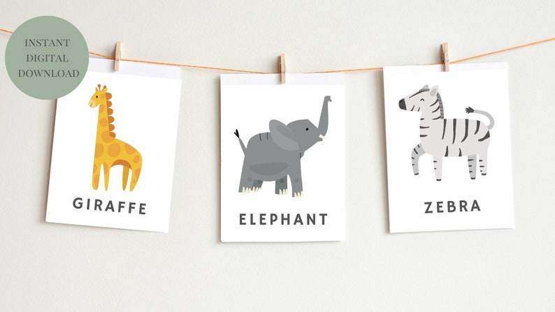 50 Zoo Animals Flashcards, Safari Flash Cards, Animal, Montessori ...