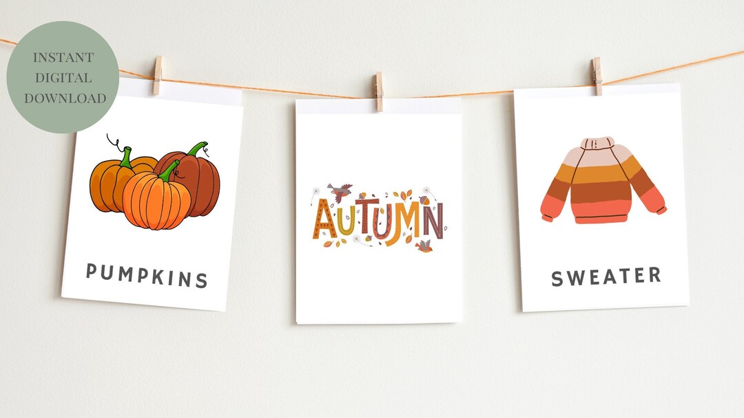 Fall Season Edition Flashcards, Learning, Children, Kids, Toddlers ...