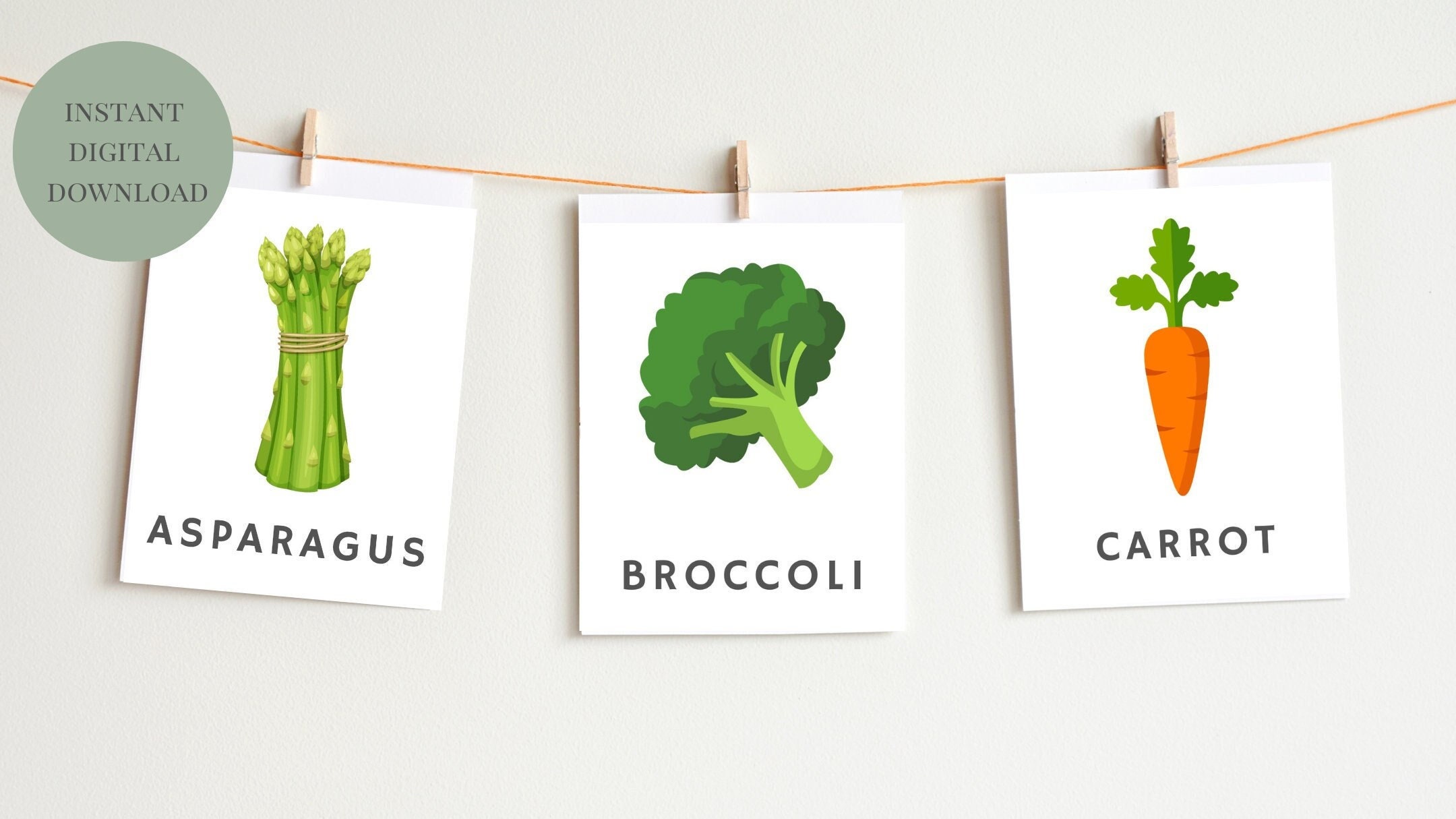 Vegetables Flash Cards, Montessori, Classroom, Learning, Flashcards ...