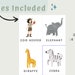 50 Zoo Animals Flashcards, Safari Flash Cards, Animal, Montessori ...