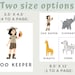 50 Zoo Animals Flashcards, Safari Flash Cards, Animal, Montessori ...
