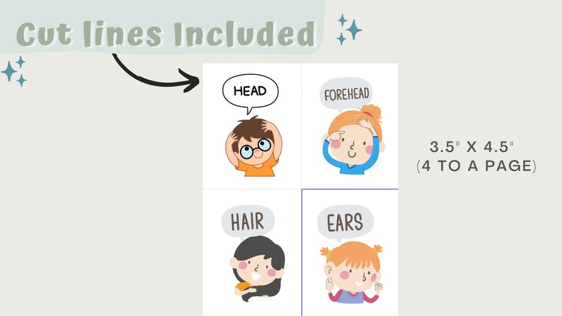 Body Parts Illustration, Children, Learning, Flash Cards, Calming ...