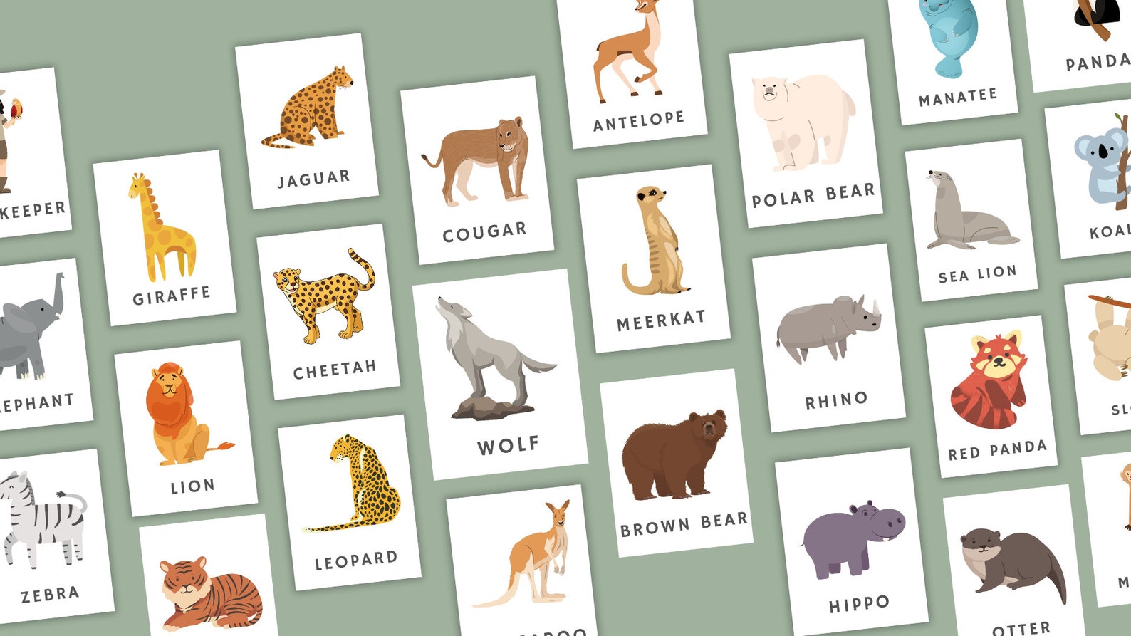 50 Zoo Animals Flashcards, Safari Flash Cards, Animal, Montessori ...