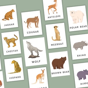 50 Zoo Animals Flashcards, Safari Flash Cards, Animal, Montessori ...