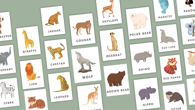 50 Zoo Animals Flashcards, Safari Flash Cards, Animal, Montessori ...