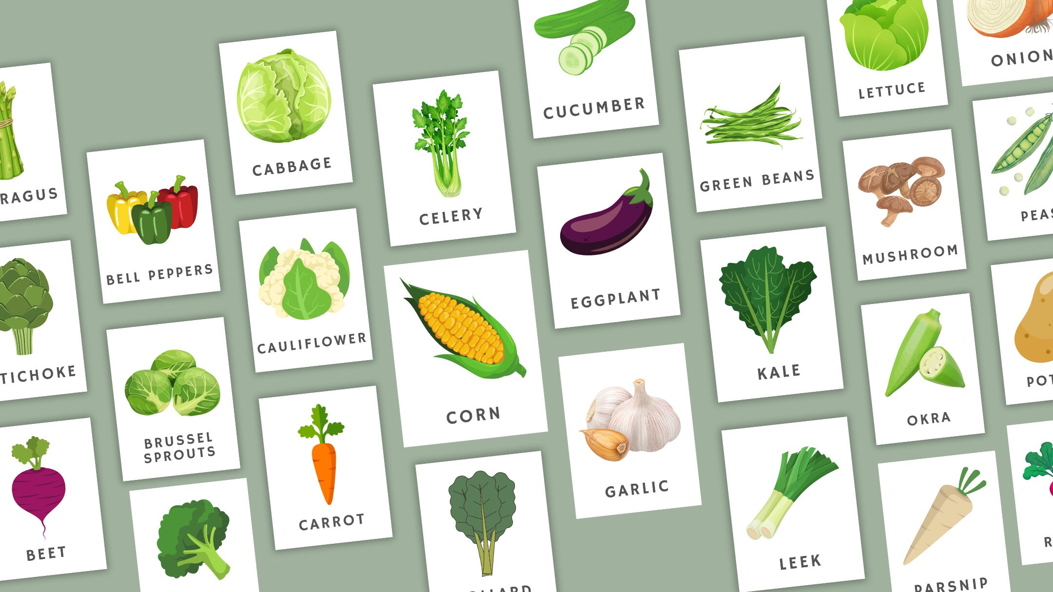 Vegetables Flash Cards, Montessori, Classroom, Learning, Flashcards ...