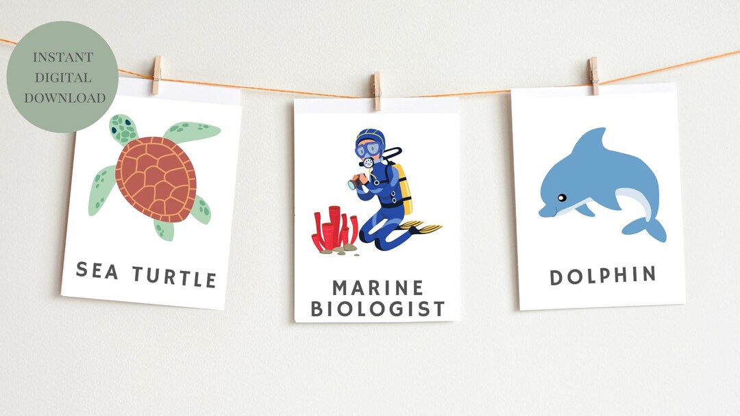 Ocean Animals Flashcards: Montessori Learning Cards (digital Download ...