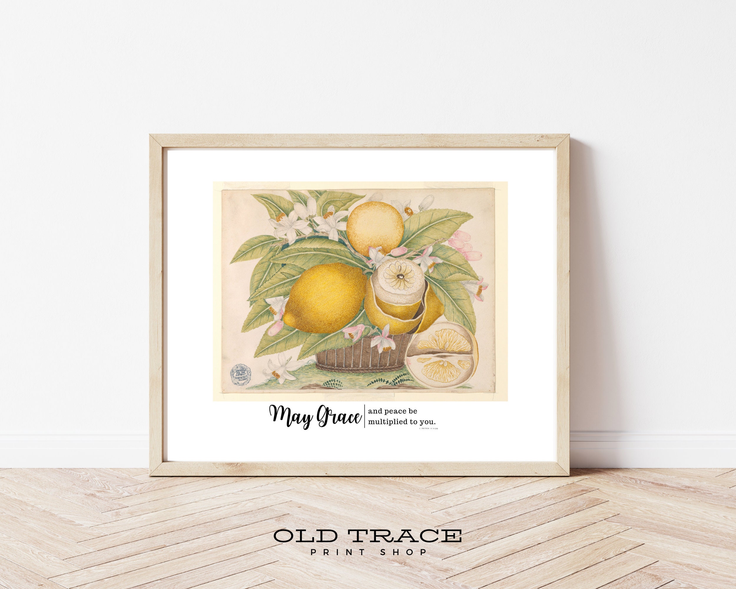 Lemons May Grace & Peace I Peter Christian Bible Verse Vintage Wall Art ...