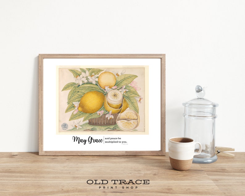 Lemons May Grace & Peace I Peter Christian Bible Verse Vintage Wall Art ...