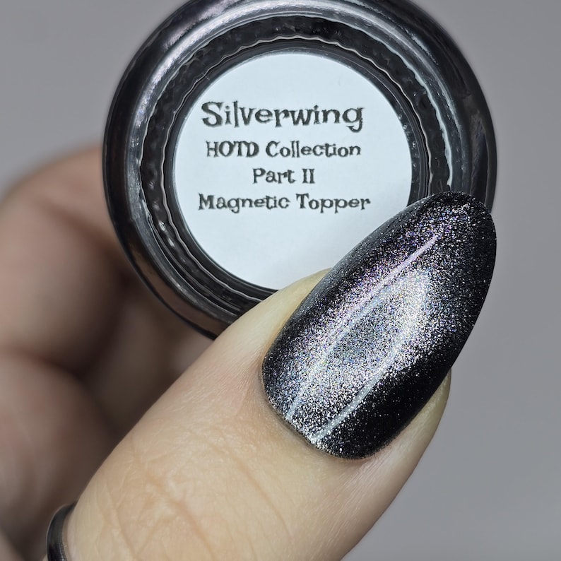 Silver Magnetic Nail Polish Topper- Silverwing - Etsy