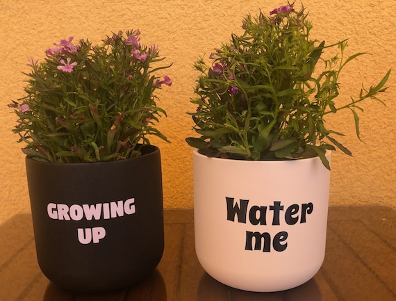Plants Plant Pots Planters Vinyl Decal Stickers Funny | Etsy