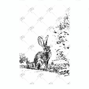 Rabbit | Digital Vector & Print - Etsy