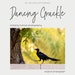 Grackle Digital Vector & Print - Etsy