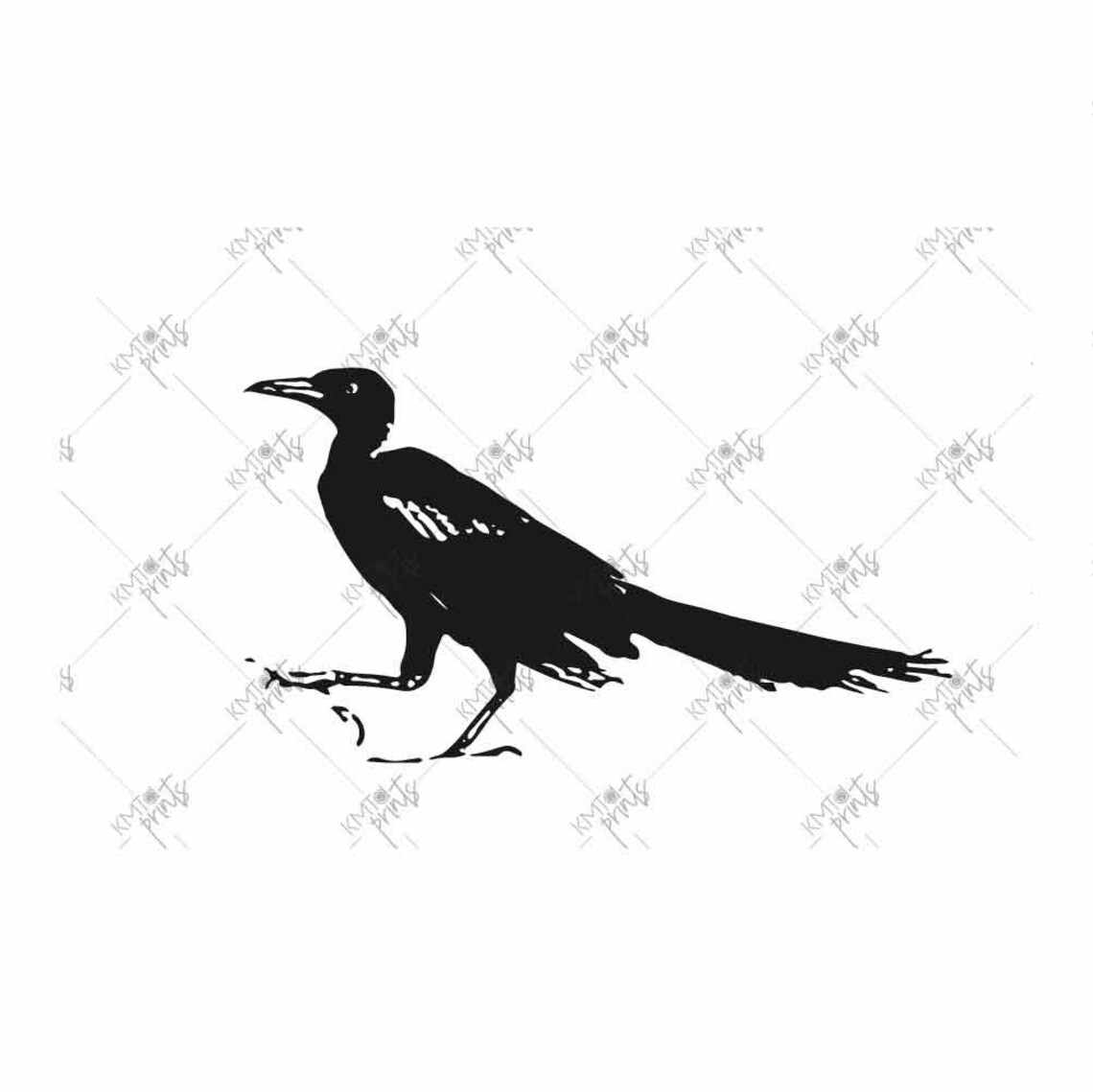 Grackle | Digital Vector & Print - Etsy