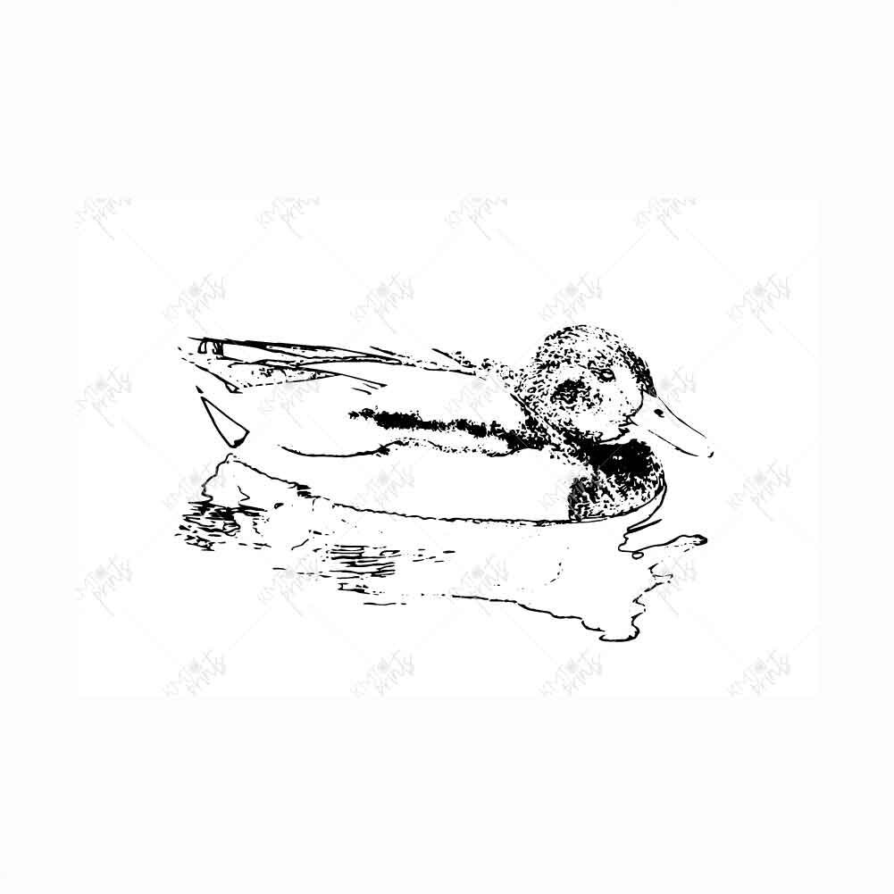 Duck | Digital Vector & Print - Etsy