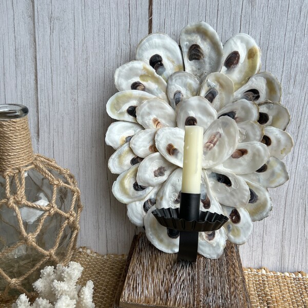 Shell Sconce - Etsy
