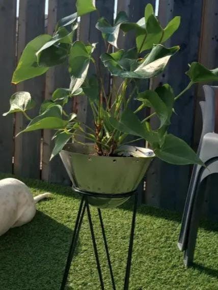 Plant Stand Customisable Triangle - Etsy
