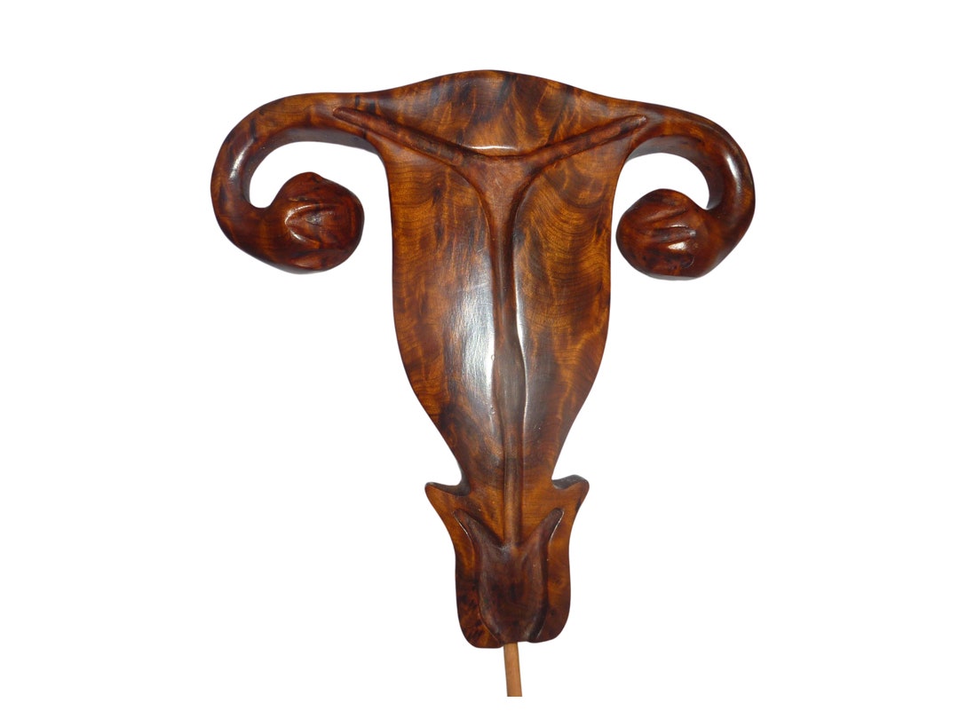 Uterus Wooden Wall Art: Sculpture for OBGYN Office Decor, Nurses Week ...