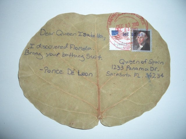 Sea Grape Leaf Post Cards - Etsy