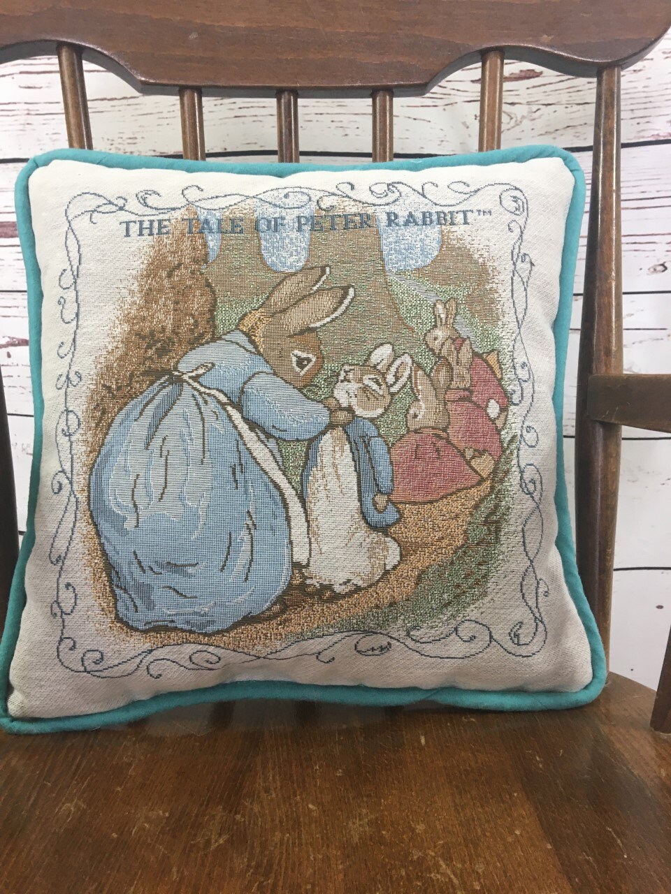 Peter Rabbit Pillow - Etsy