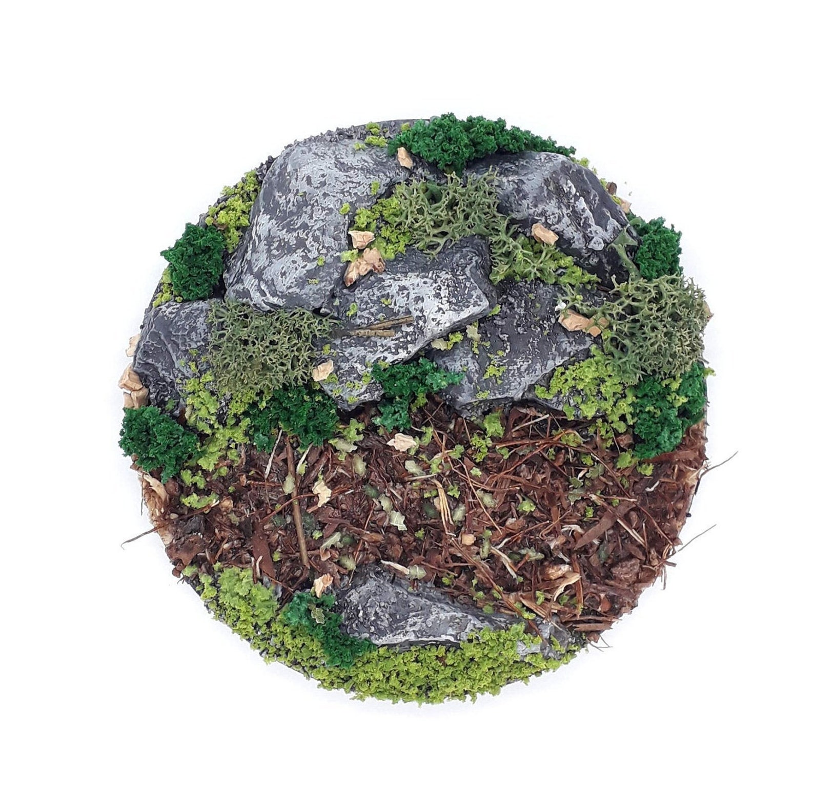 Star Wars Themed Endor Display Base | Etsy