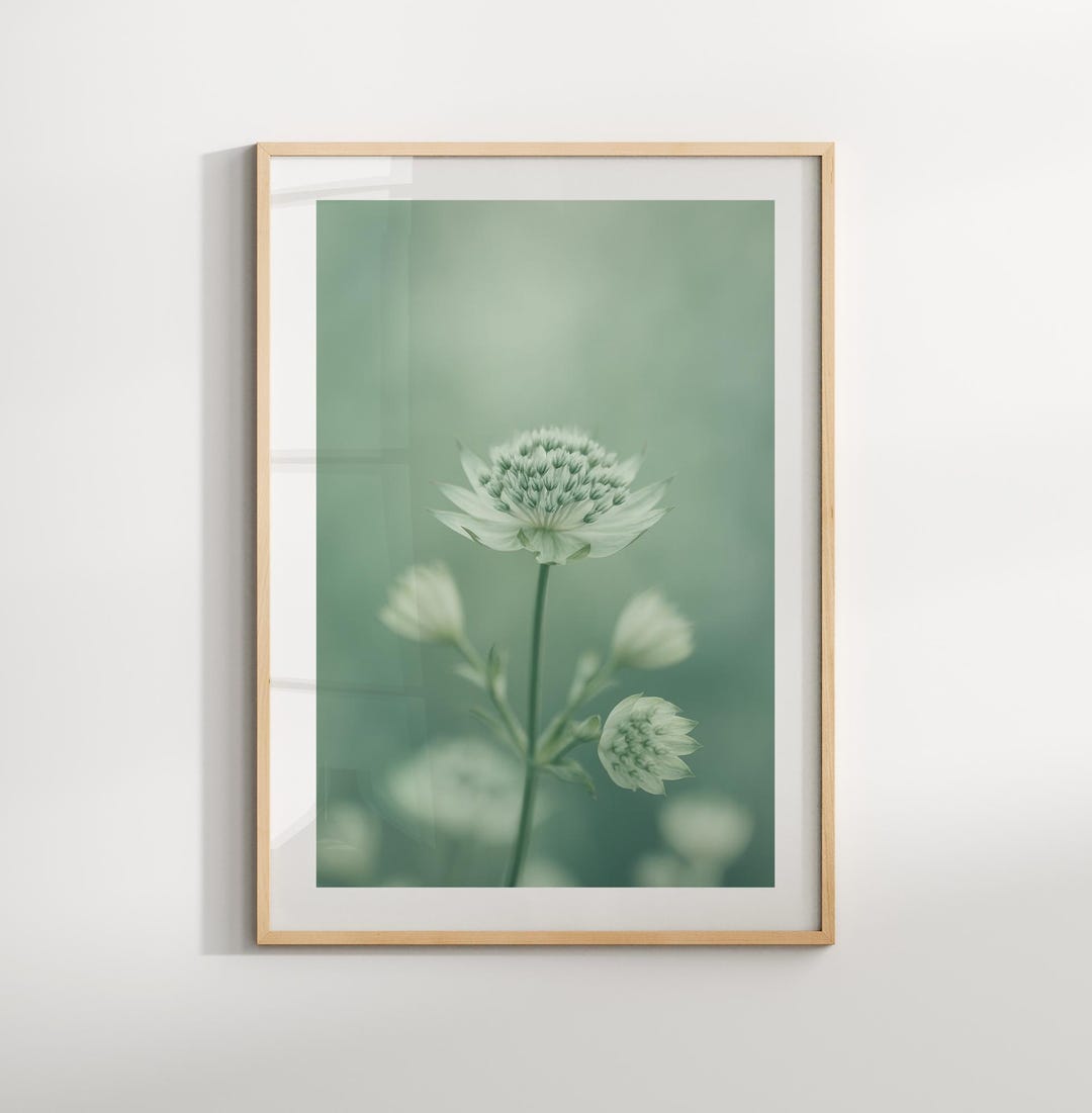 Printable Poster Mint Green Flower Photography - Etsy