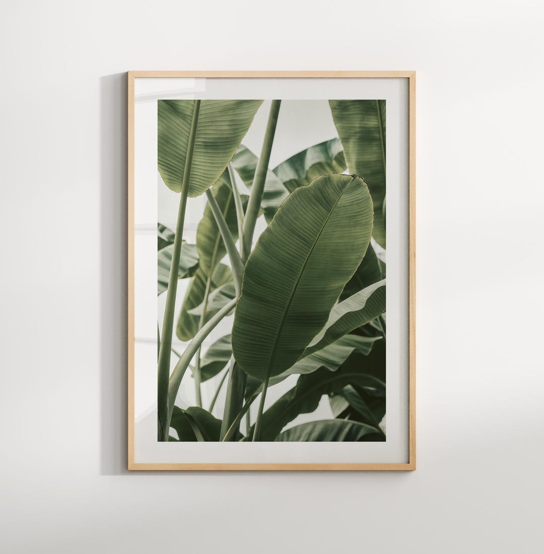 Printable Poster Green Banana Leaves Photography - Etsy