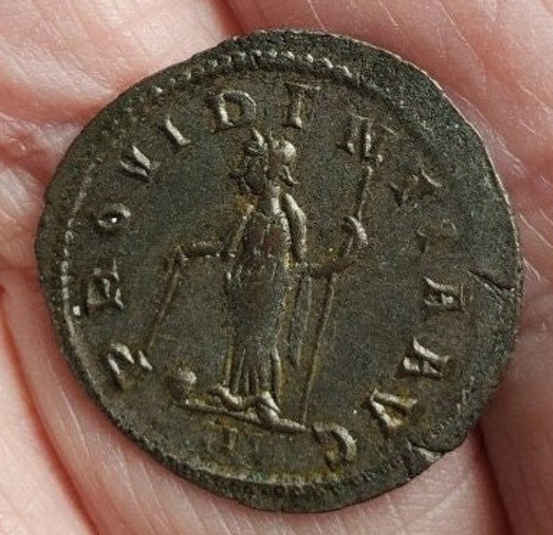 PRICE MARKDOWN!!! FLORIAN (276AD) Ancient Roman Emperor Featured on ...