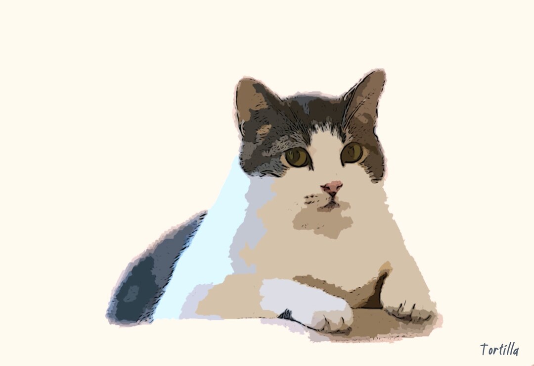 Custom Cat Portrait - Etsy