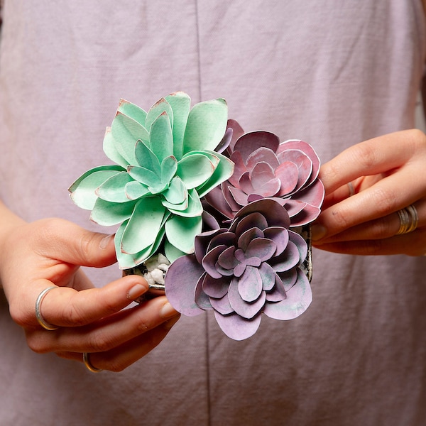 Paper Succulent - Etsy