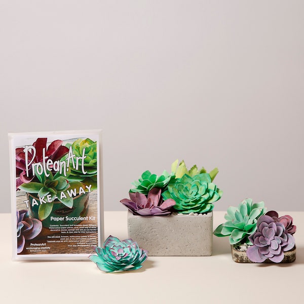 Paper Succulent - Etsy