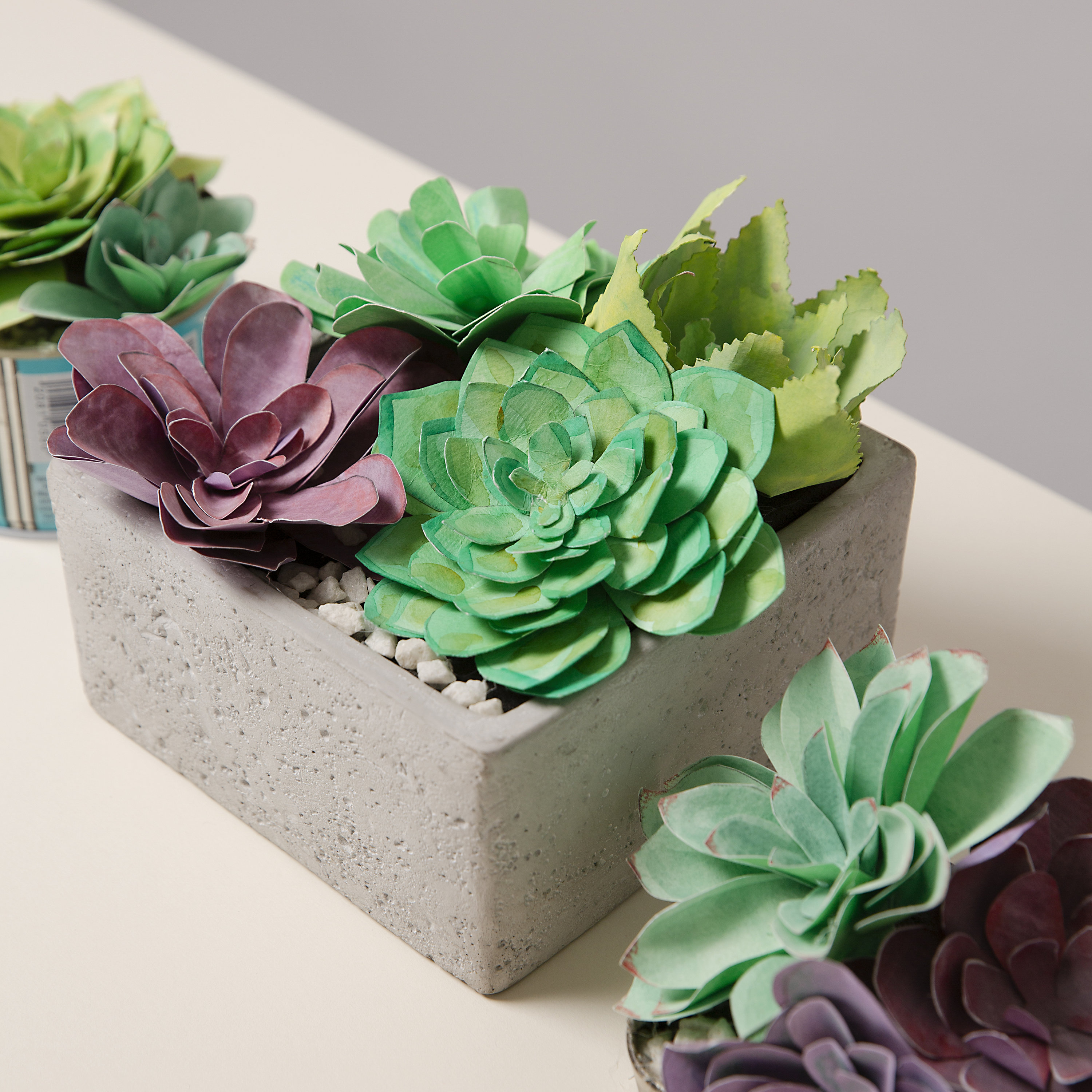 Paper Succulent Making Kit Gift Set With Paint - Etsy UK