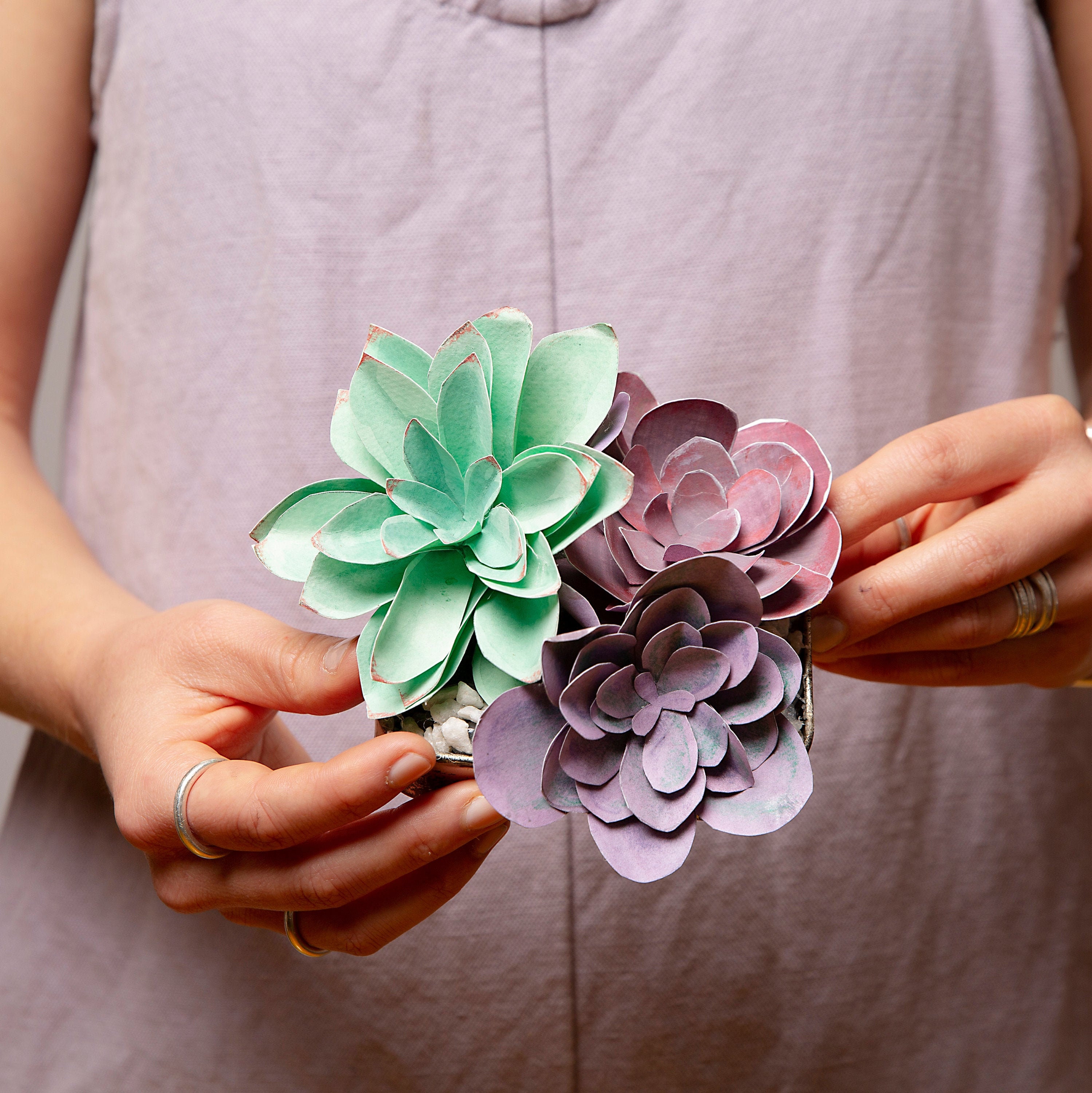 Paper Succulent Making Kit - Etsy