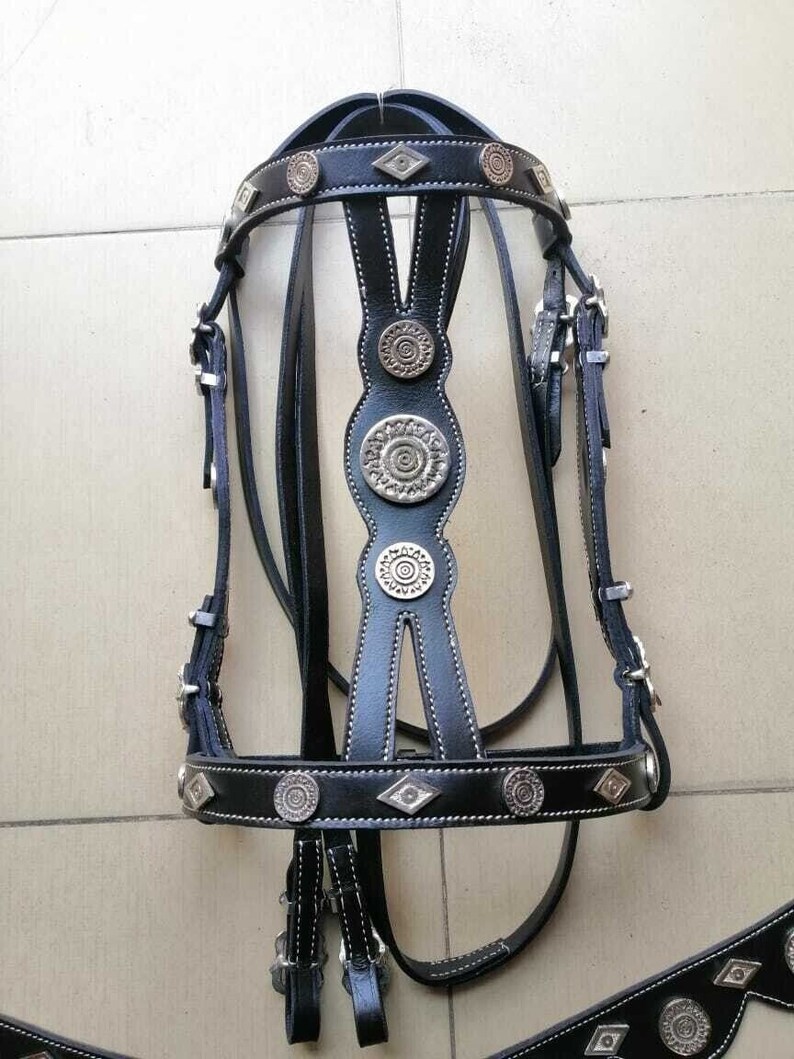 Western Horse Handmade Bridle in Baroque Style Pure Leather Fancy Horse ...