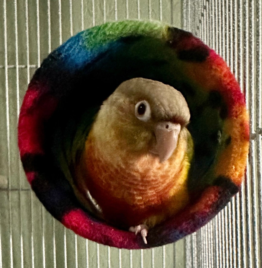 The Best Original SAFEST Largest Bird Cozy 4X8 Solid PVC Body W ...