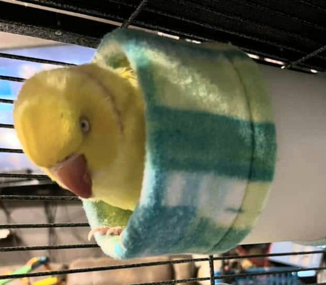 The Best Original SAFEST Largest Bird Cozy 4X8 Solid PVC Body W ...