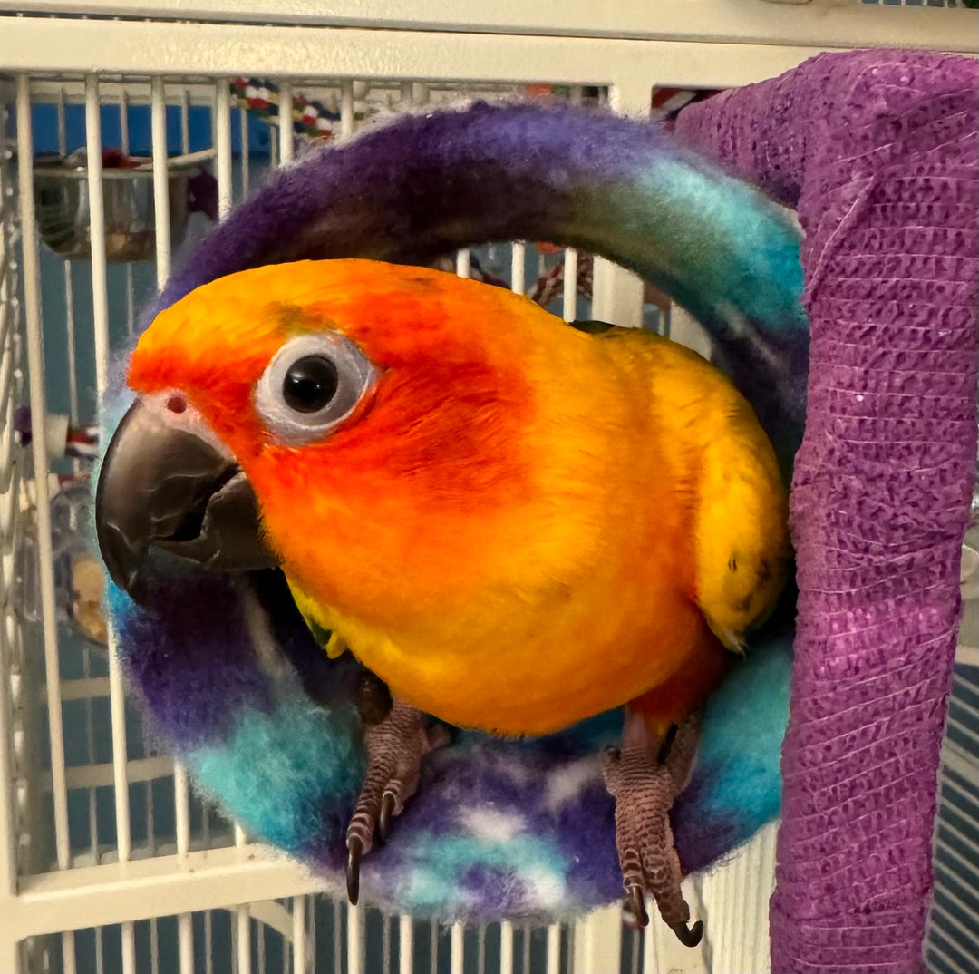 The Best Original SAFEST Largest Bird Cozy 4X8 Solid PVC Body W ...