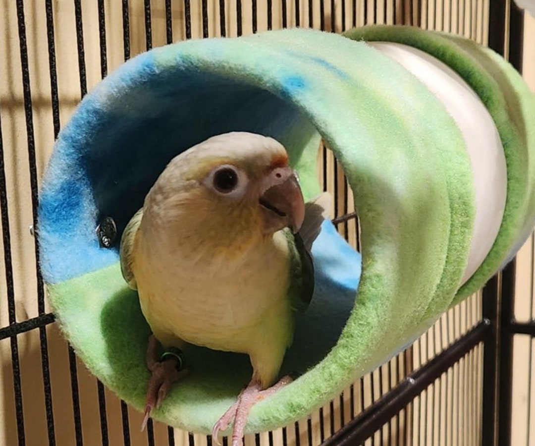 The Best Original SAFEST Largest Bird Cozy 4X8 Solid PVC Body W ...