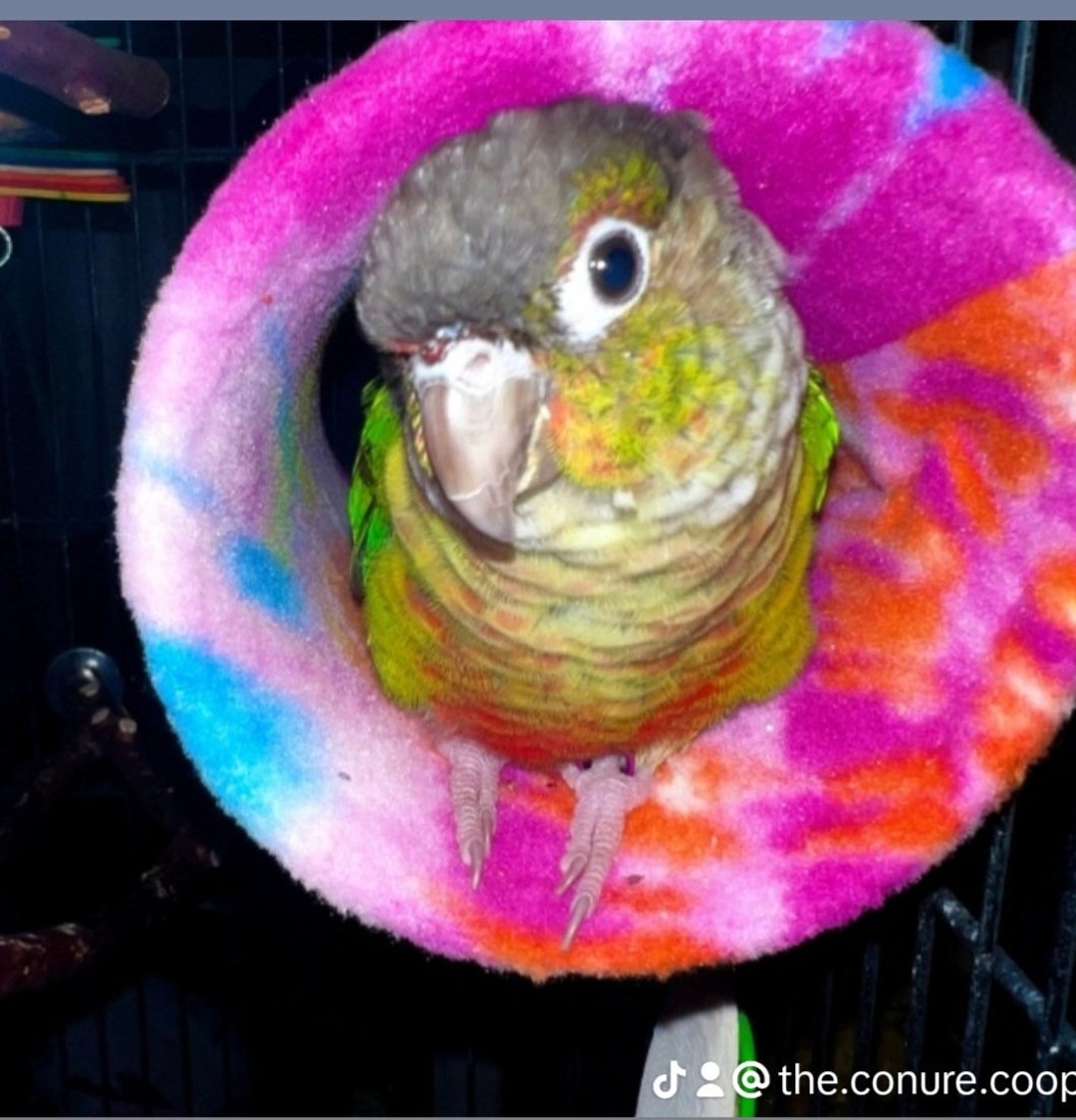 The Best Original SAFEST Largest Bird Cozy 4X8 Solid PVC Body W ...