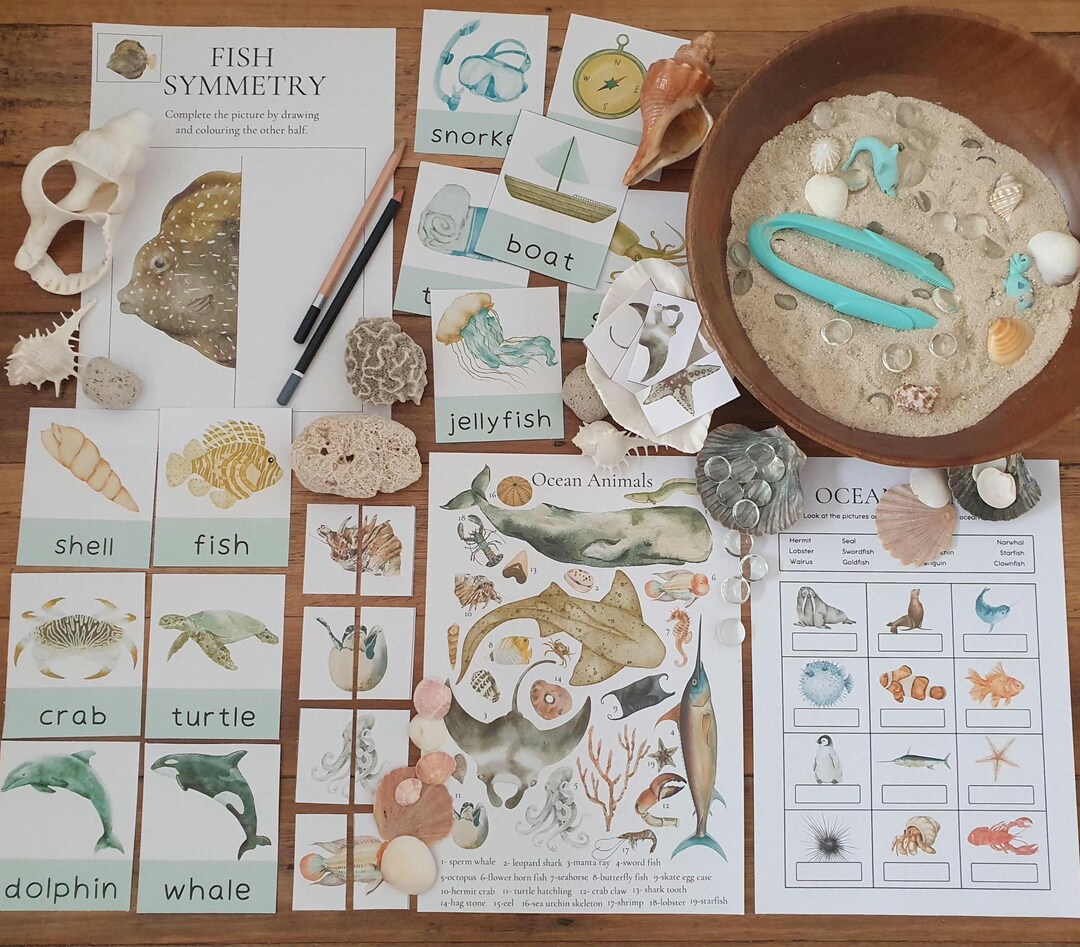 Ocean Study Journal 50+ Page Activity Pack | Unschooling Homeschooling ...