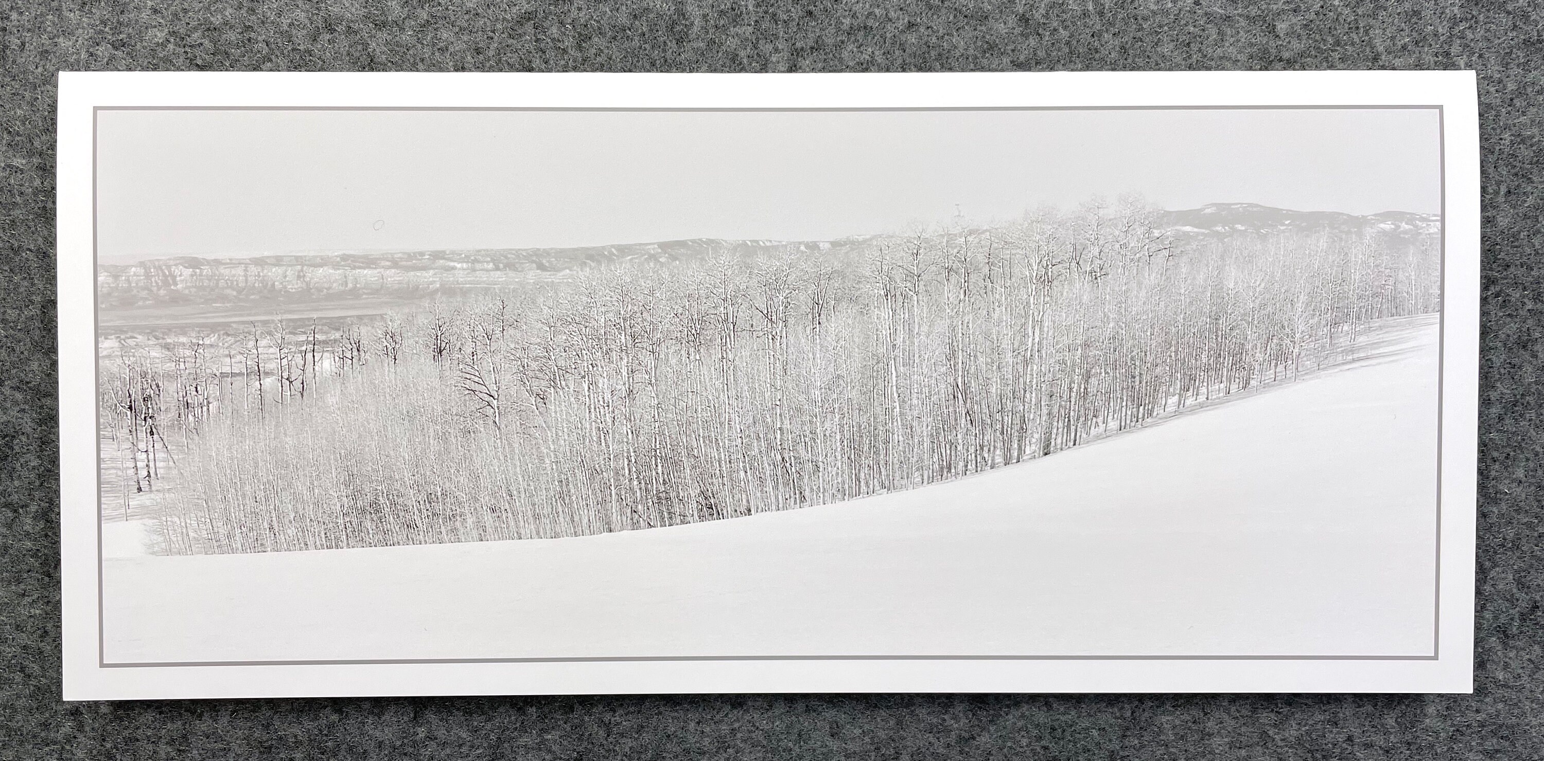 Panoramic Landscape Note Cards - Etsy
