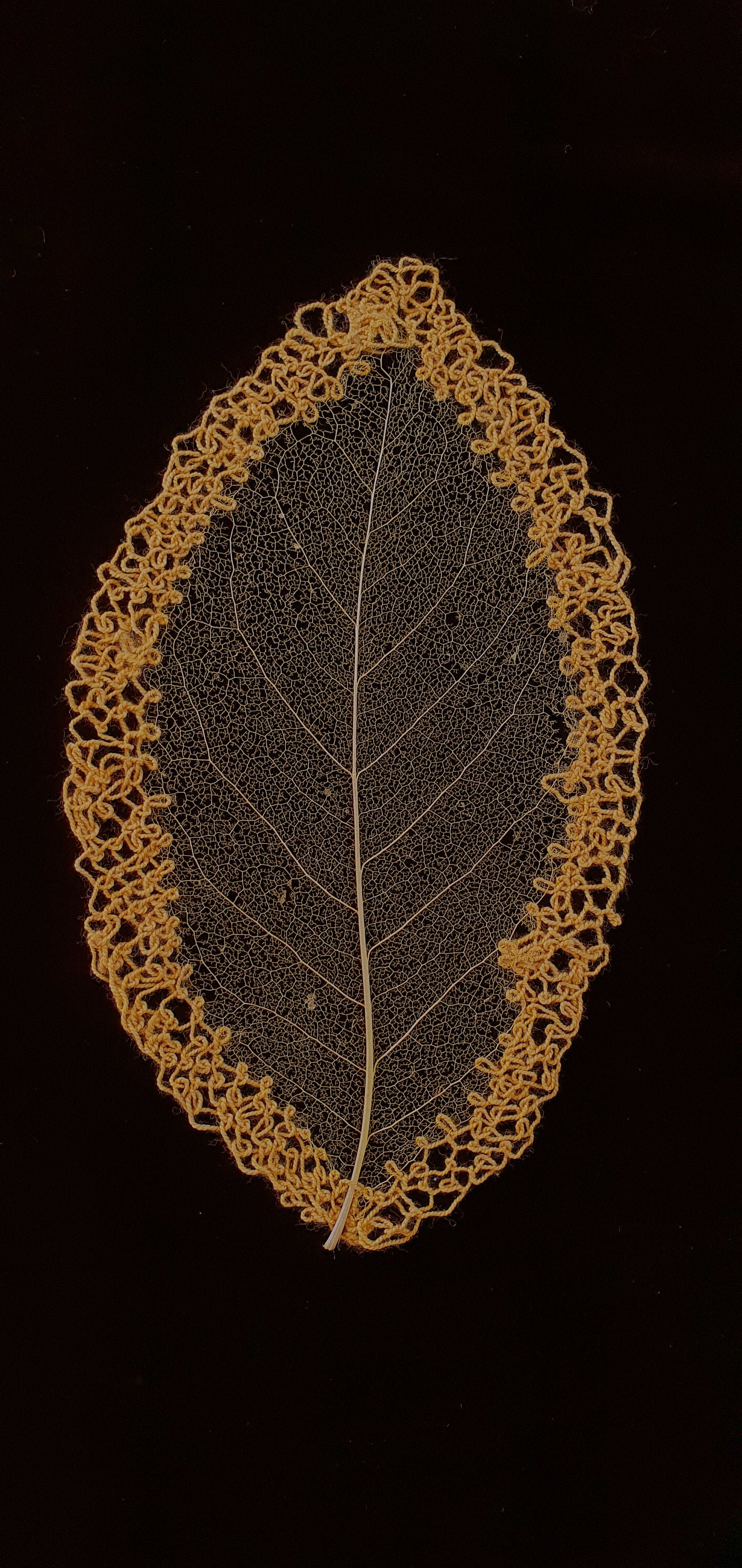 Embroidered Leaf Skeleton - Etsy