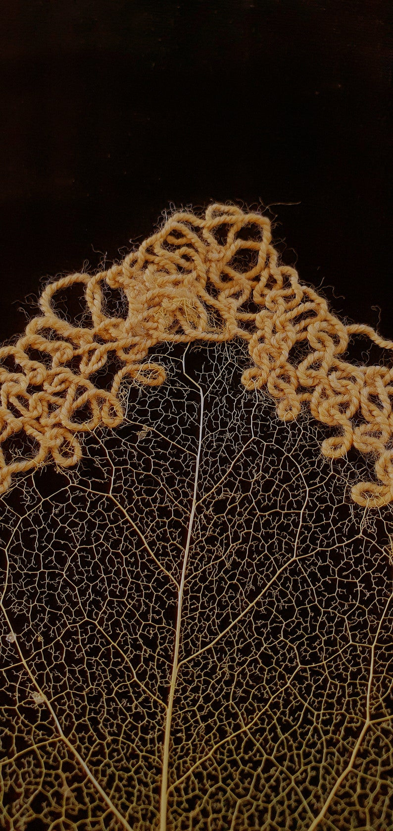 Embroidered Leaf Skeleton - Etsy