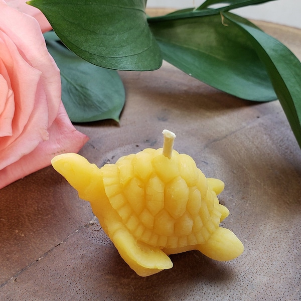 Turtle Candle - Etsy