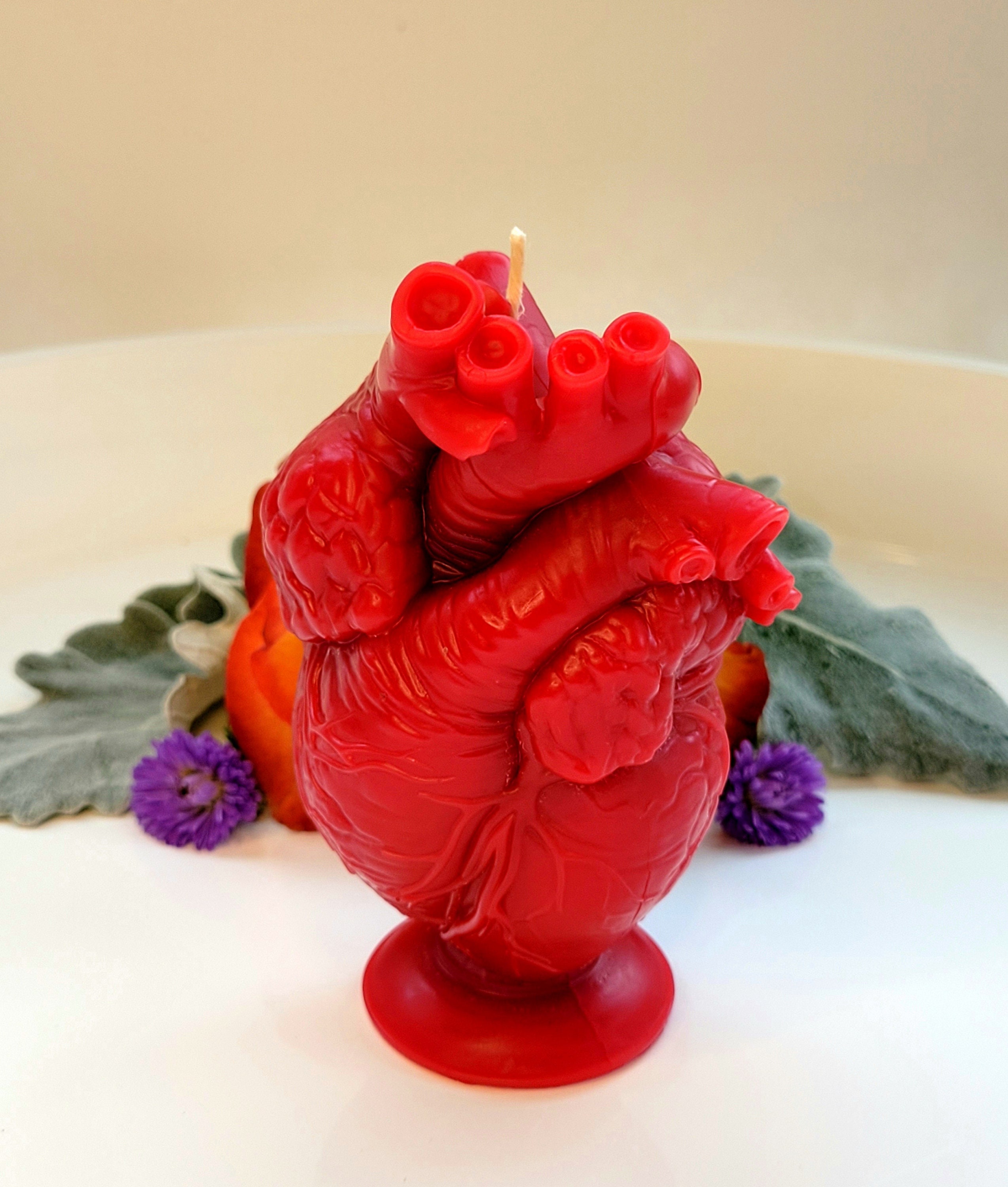 Anatomical Human Heart Candle - Etsy
