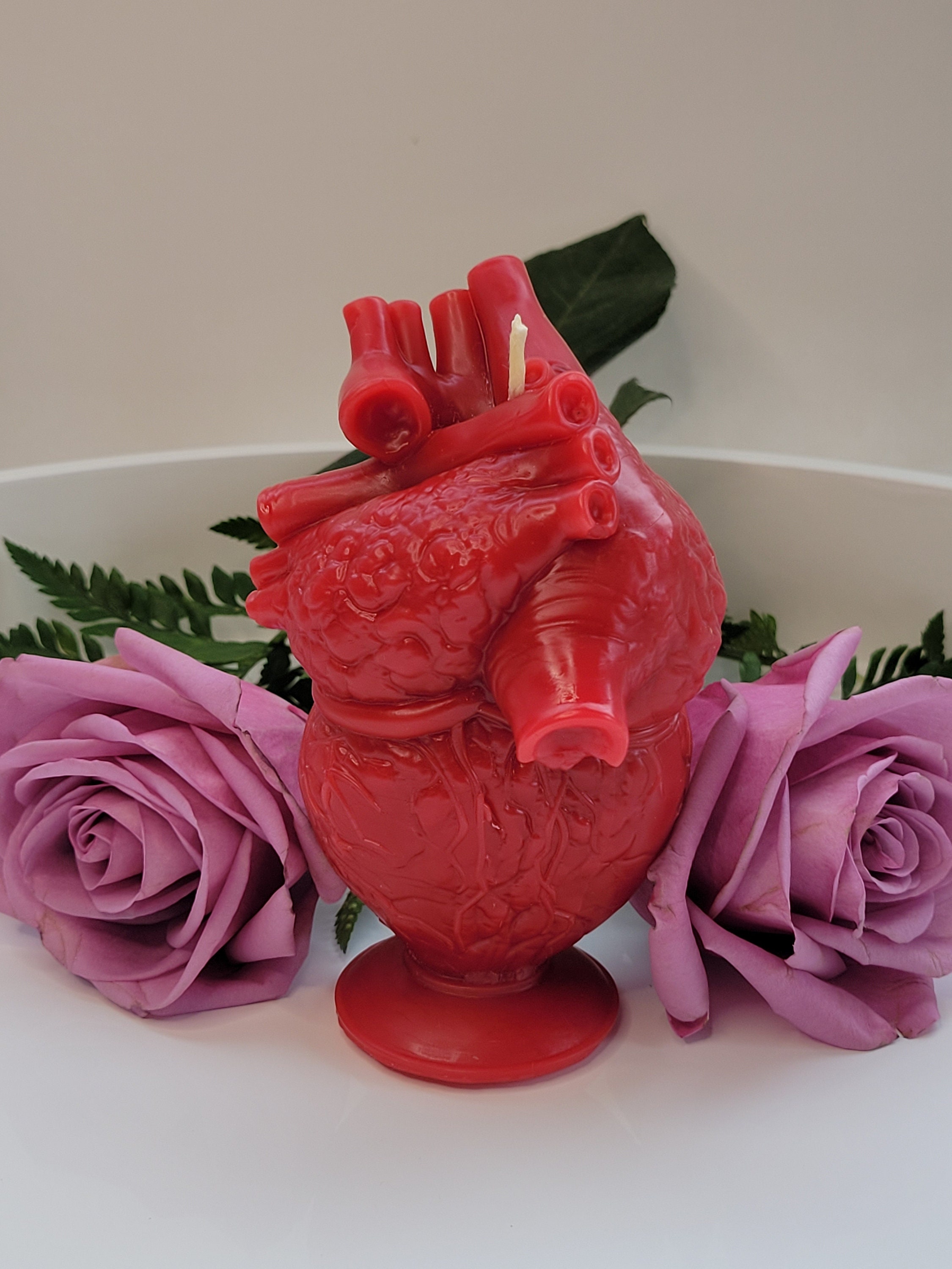 Anatomical Human Heart Candle - Etsy