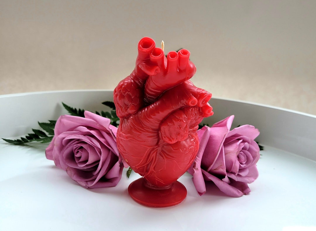 Anatomical Human Heart Candle - Etsy