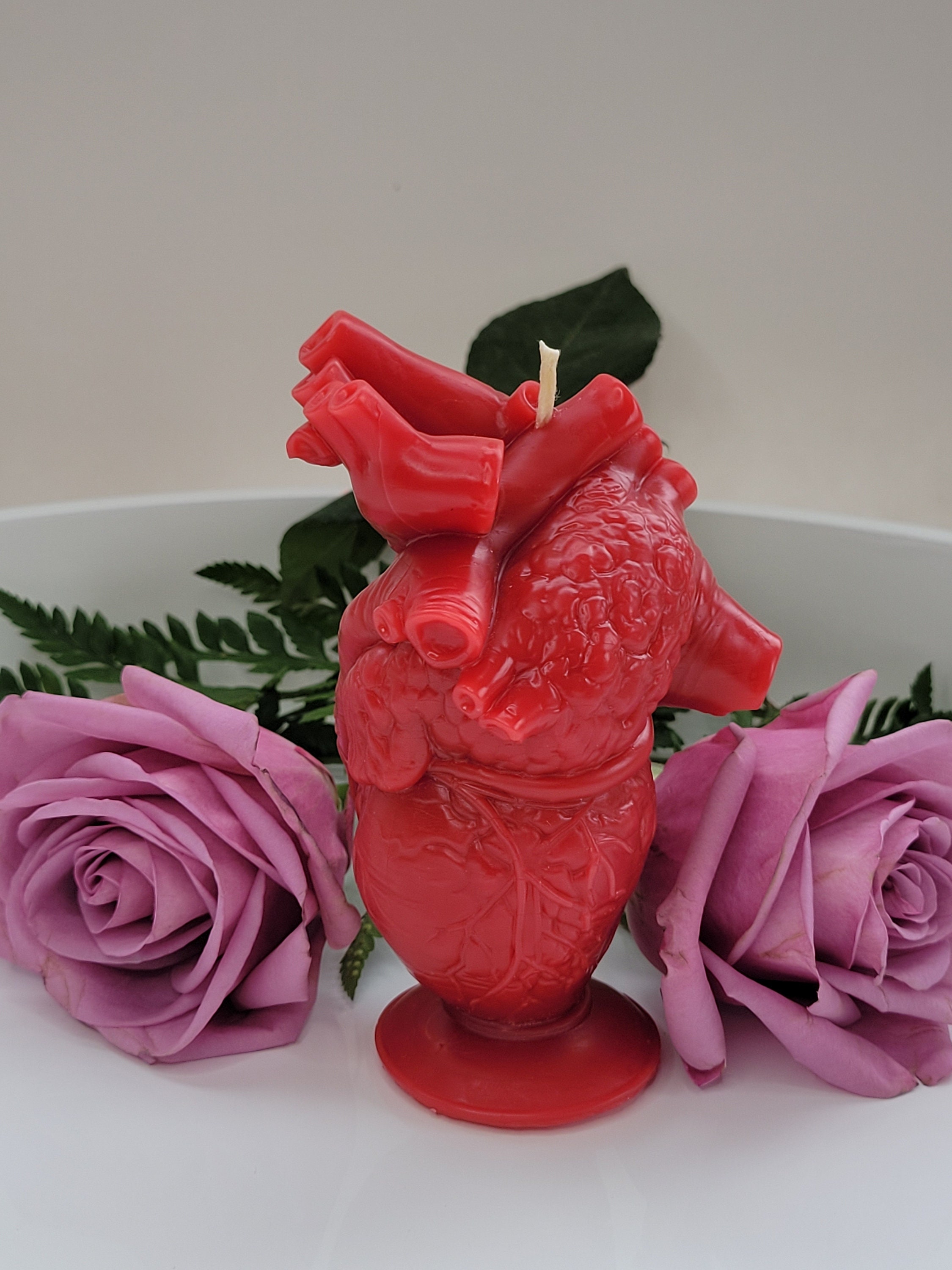 Anatomical Human Heart Candle - Etsy