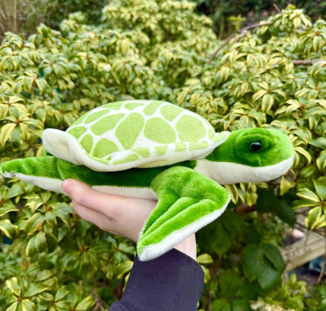 Shelldon the Sea Turtle 16” Weighted Cuddly Plush Toy Autism ADHD ...